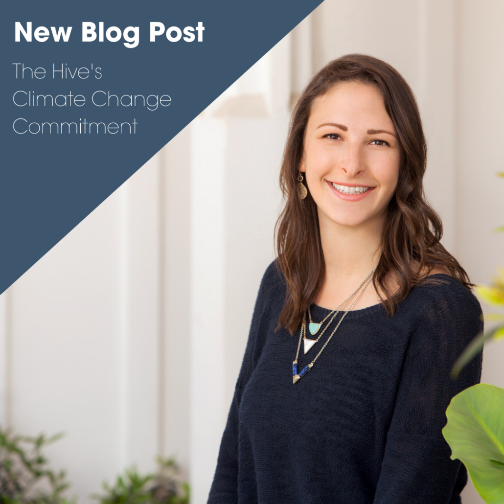 The Hive’s Climate Change Commitment – Blog Post | Impact Cubed